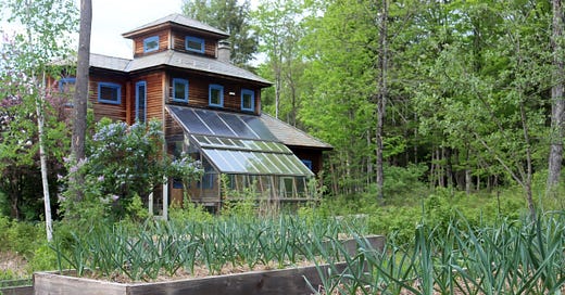 Practical Self Reliance | Ashley Adamant | Substack