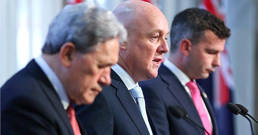 Mountain Tui | Mountain Tūī | Substack