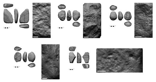 John Hawks | Substack