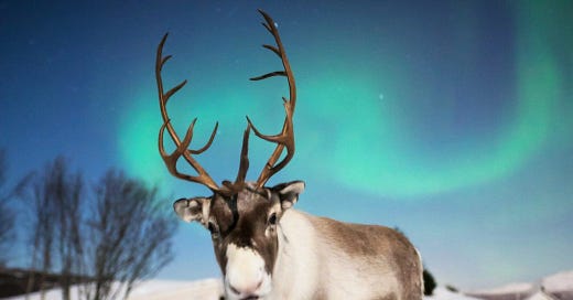 The Truth Barrier | Celia Farber | Substack