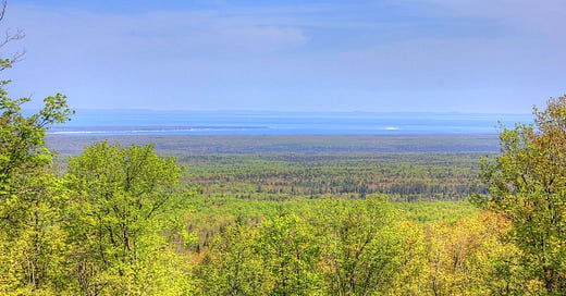 David’s Substack | Dave Dempsey | Substack