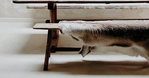 For The Curious | Ali Heath | Substack