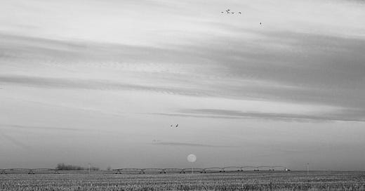 Out of the Wild with Ken Ilgunas | Substack