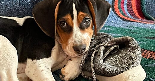 The Jim Acosta Show | Substack