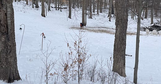 J.F. Riordan; Reflections on a Life in Exile | J. F. Riordan | Substack