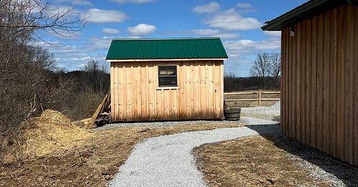 House of Green | Alexandra Fasulo | Substack