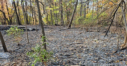 Parrish the Thought | Adam Parrish | Substack