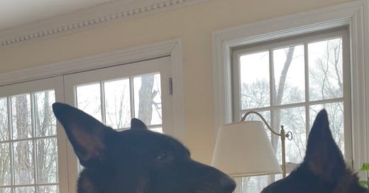 J.F. Riordan; Reflections on a Life in Exile | J. F. Riordan | Substack