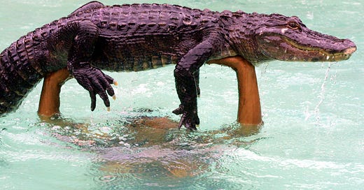 How Things Work | Hamilton Nolan | Substack