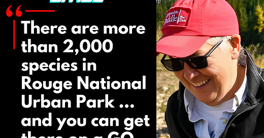 Challenger Cities | Iain Montgomery | Substack