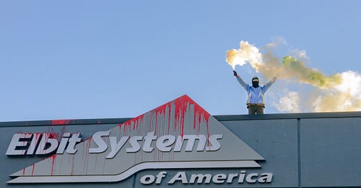 The Crossroads of the Pro-Palestine Movement: A Conversation with Calla ...