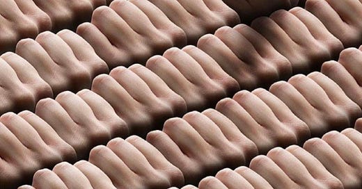 Think Future | Cassidy Steele Dale | Substack