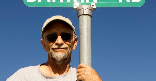 Rooted Magazine | Lauren Rhoades | Substack