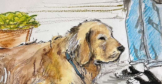 Draw Your World | Samantha Dion Baker | Substack