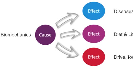 The "Cause & Effect" Framework - by EGK - Reviv