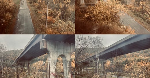 Dispatches From the Basement | Joseph Massey | Substack