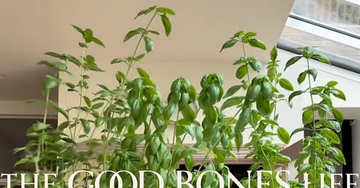 The Good Bones Life | Leanne Kilroy | Substack