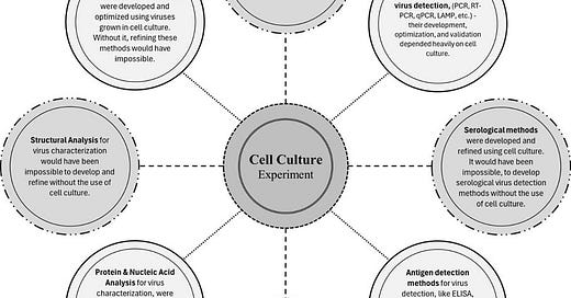 Matthew’s Substack | Matthew North | Substack