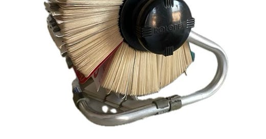 Allegra | Allegra Samsen | Substack