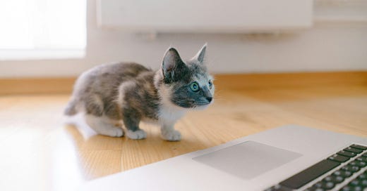 Coding Challenges | John Crickett | Substack