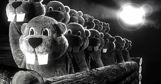 Blank Check | Substack