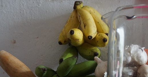 From the Desk of Alicia Kennedy | Substack