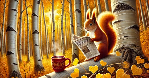 More Than Just Parks | Substack