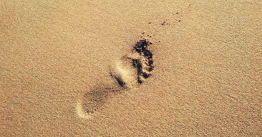 Jardín Mental 🌱💭 | Álvaro García | Substack