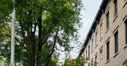 Reading & Eating | Shauna Niequist | Substack