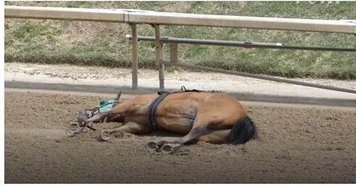 Seemorerocks | Robin Westenra | Substack