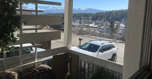 The Weekly Dish | Andrew Sullivan | Substack