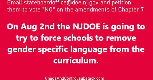 Chaos and Control | Mathgoddess | Substack