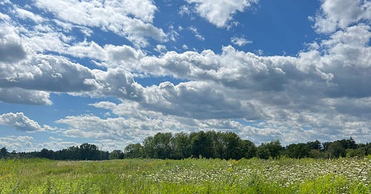 House of Green | Alexandra Fasulo | Substack