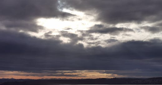 the process | Irina Dumitrescu | Substack