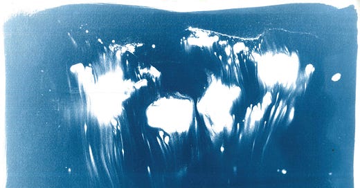 Exploring Cyanotypes: A Beginner’s Guide to This Unique Cameraless ...