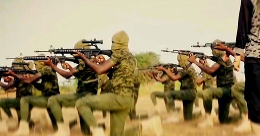 Militant Wire | Substack