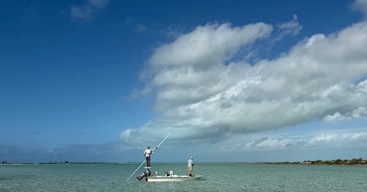 A Continuous Lean | Michael Williams | Substack