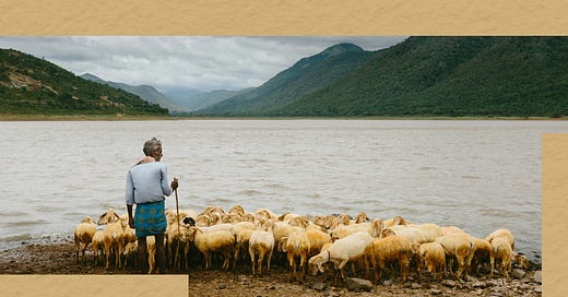 The Rabbit Room | Substack