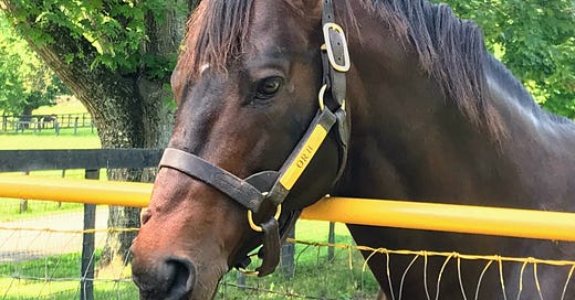 Flyover Stocks | Todd Wenning | Substack