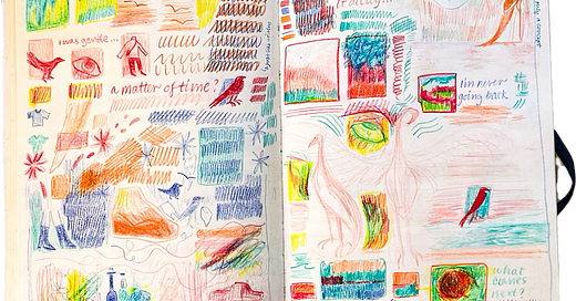 Well Intended Insolence | Dani Oliveira | Substack