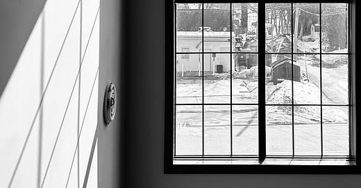 Dispatches From the Basement | Joseph Massey | Substack