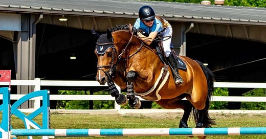 The Chad Rabbit | Substack