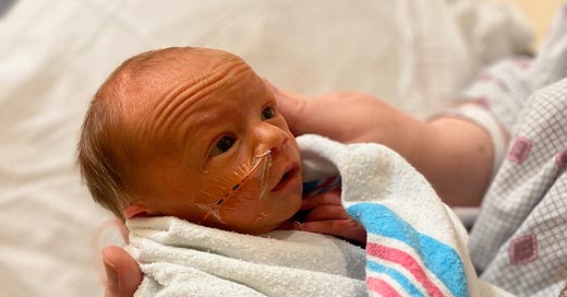 Lizzy’s Substack | Lizzy House | Substack