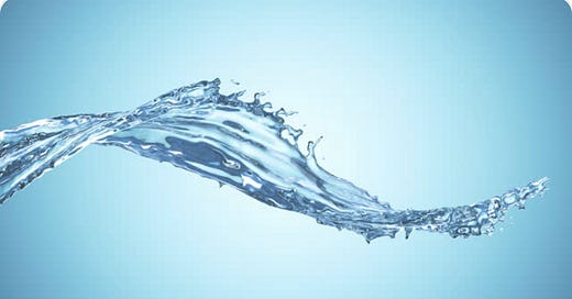 The Forgotten Side of Medicine | A Midwestern Doctor | Substack