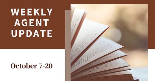 Chapter Break | Alyssa Matesic | Substack