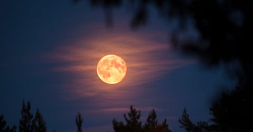 Astro Poets | Substack