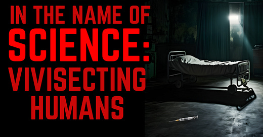 Agent131711’s Substack | Substack