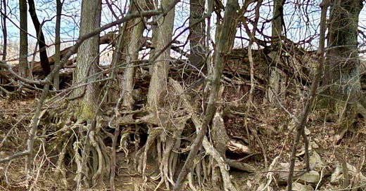 That's Good To Know | Jan Stoneburner | Substack