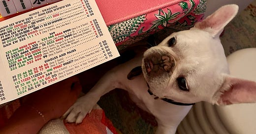 Book Enthusiast | Becca Freeman | Substack