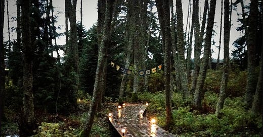 Messages from Sea & Cedar with Joanna Powell Colbert | Substack